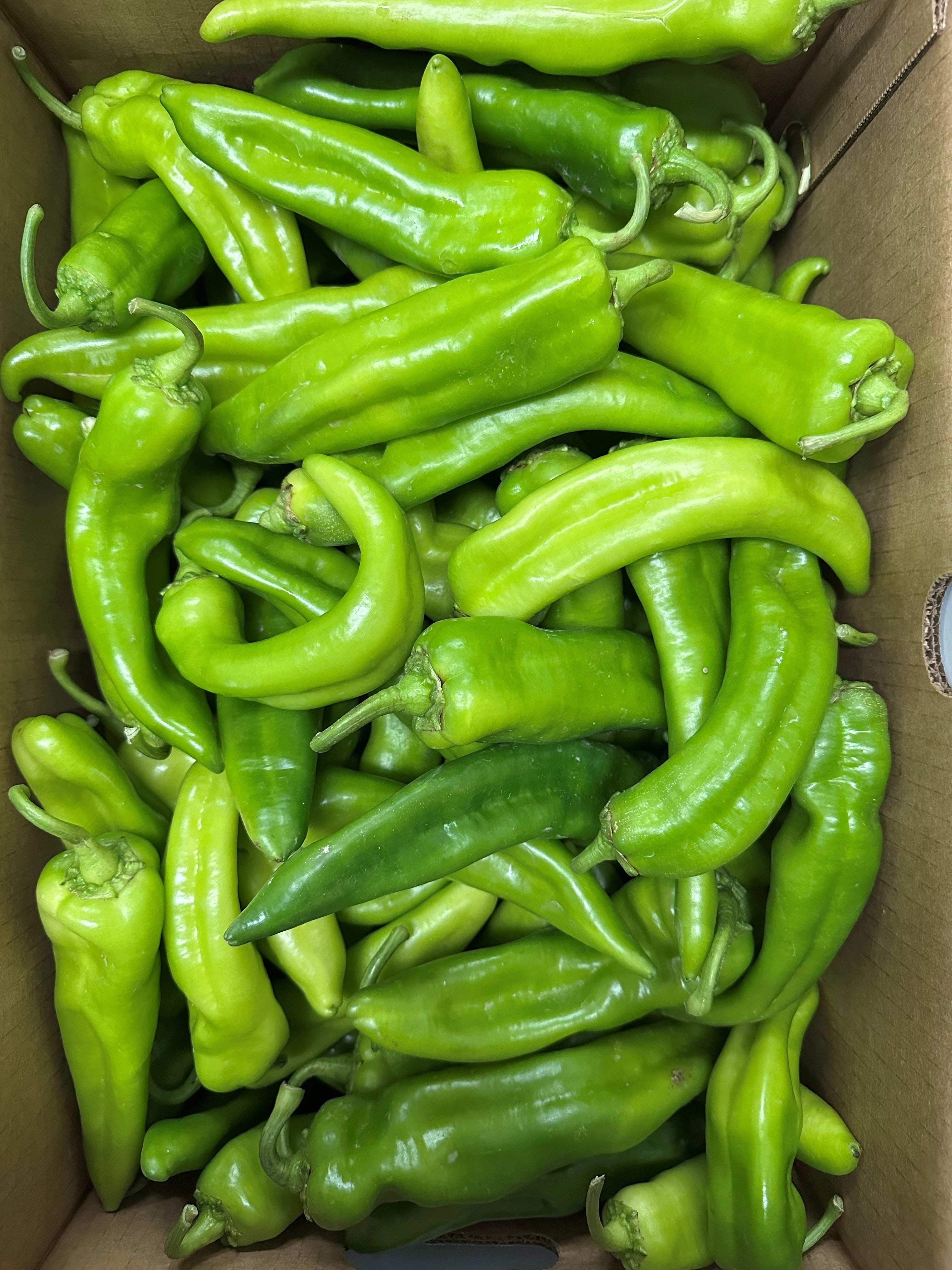 Chiles, Hatch Green, Fresh, Hot, 25 Lbs Case – HRVST Chef's Market