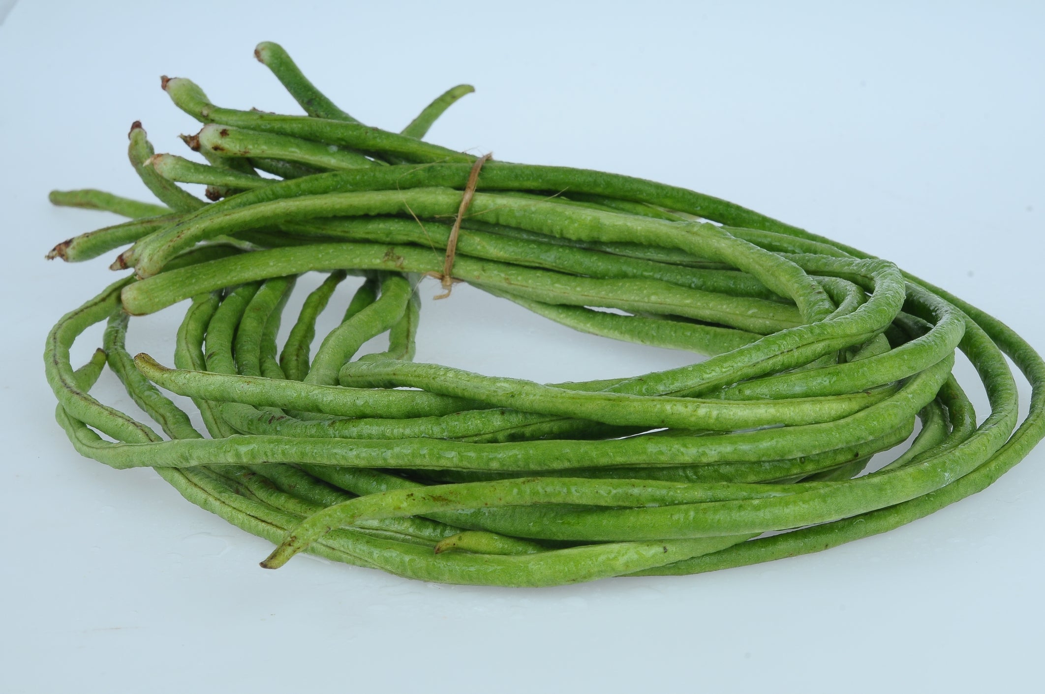 Chinese Long Beans - 10 Lb Case – HRVST Chef's Market